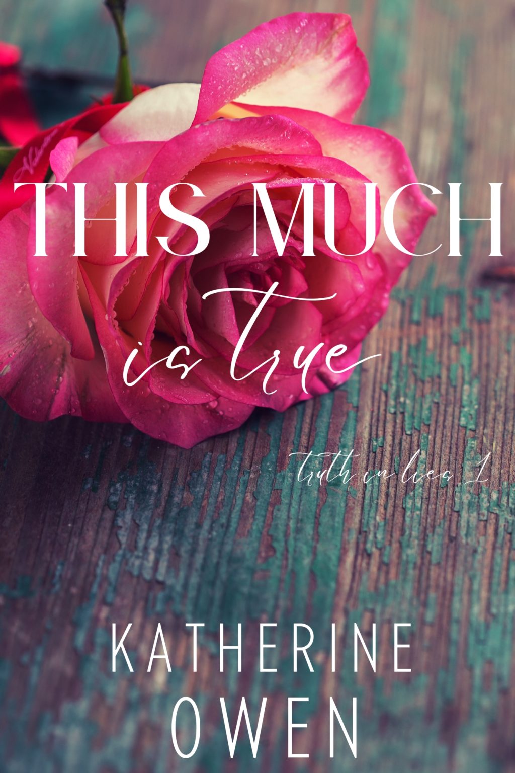 Tell Me Something True (Truth In Lies #3)